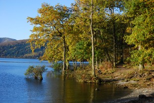 Sallochy West Highland Way campsite now bookable online | Walkhighlands